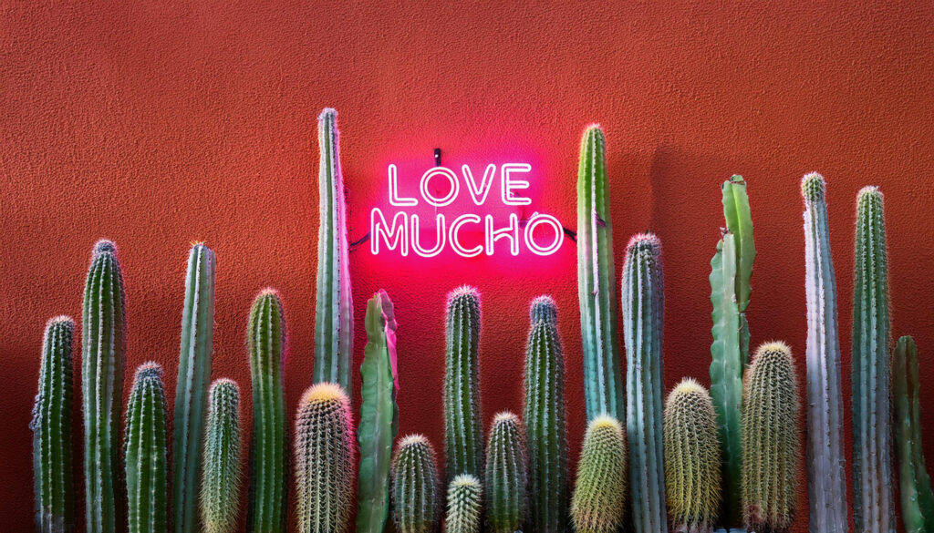 Love MUCHO | MUCHO Burrito